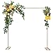 Amazon.com : LyeXD 3M Gold Wedding Arch Stand Easy Assembly Square ...