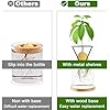Amazon.com: Uprony Avocado Tree Growing Kit 2PCS Avocado Growing Vase ...