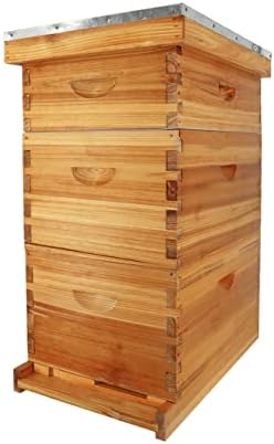 Amazon.com: BeeCastle 10 Frame Langstroth Bee Hive Coated with Beeswax ...