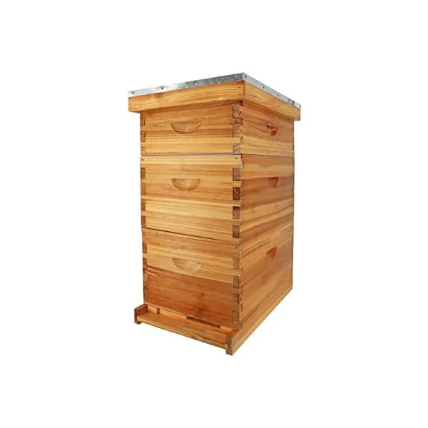 ThxBees 10-Frame Bee Hive Complete Beehive Kit Beeswax Coated Beehive ...