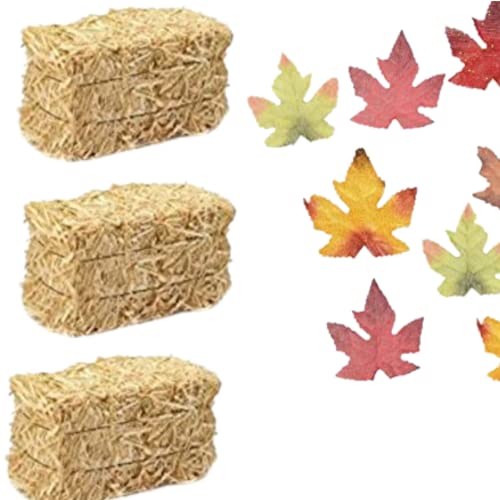 10 Best Mini Hay Bales for Your Next DIY Project! - Furry Folly