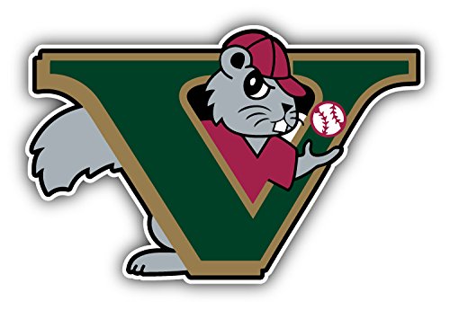 Visalia Rawhide Logo Visalia Rawhide Baseball Gem