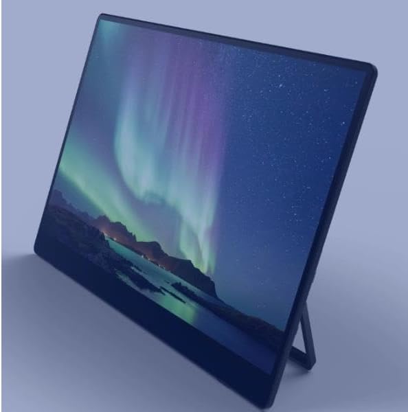 RICOH 150 Mobiler Monitor 16 Zoll, 1920 x 1080P, OLED-Display-Monitor ...