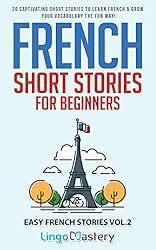 Amazon.com: French Short Stories for Beginners: 20 Captivating Short ...