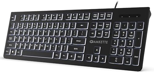 Amazon.in: Buy SABLUTE Large Print Backlit Keyboard, Wired USB Lighted ...