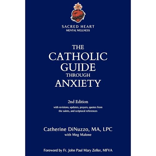 Amazon.com: Catholic Guide to Depression (Audible Audio Edition): Aaron ...