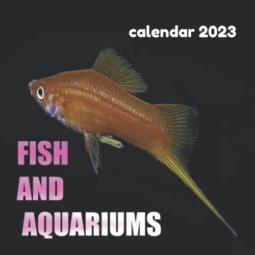 Top 17 Best Fish Calendars 2023 - CalendarBuy.com