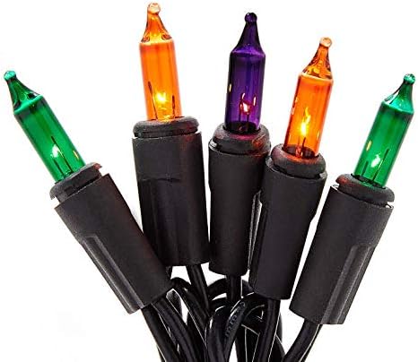 Amazon.com: Multi Color Halloween String Lights, Dark Purple, Green ...