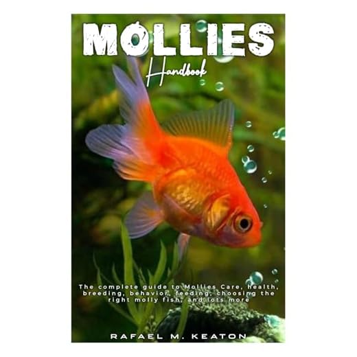 Complete Molly Fish Care Guide