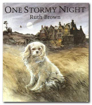 One Stormy Night: Amazon.co.uk: Brown, Ruth: 9780862644154: Books