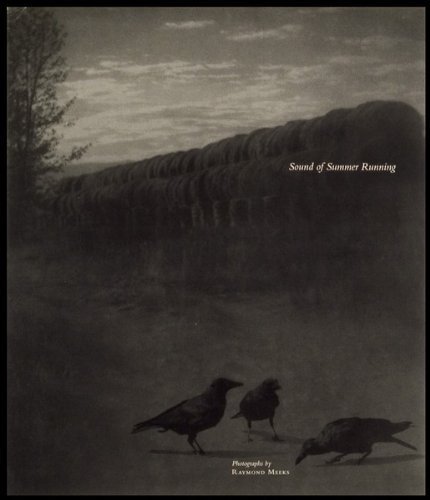 Amazon.com: Sound of Summer Running: 9781590051122: Meeks, Raymond: Books