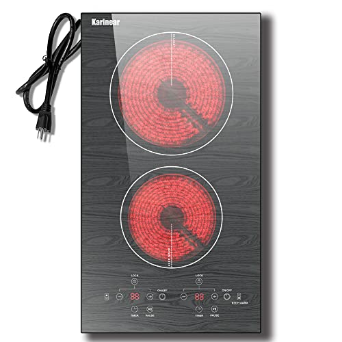 Find The Best Plug In Electric Cooktop Reviews & Comparison - Katynel