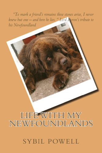 Life with my Newfoundlands eBook : Powell, Sybil: Amazon.co.uk: Kindle ...