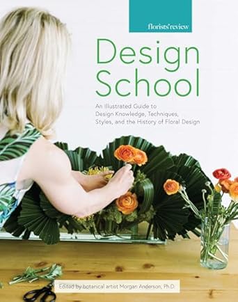 Design School: An Illustrated Guide to Design Knowledge, Techniques ...
