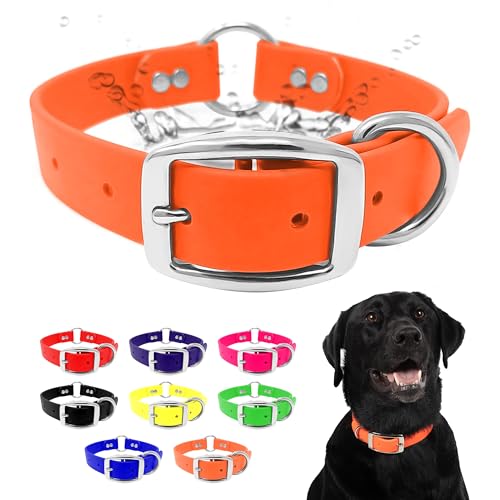 Best Dog Hunting Collars For Effective And Efficient Outdoor Adventures ...