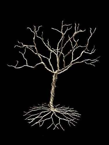 Amazon.com: Twisted Tree Wire Sculpture : Home & Kitchen