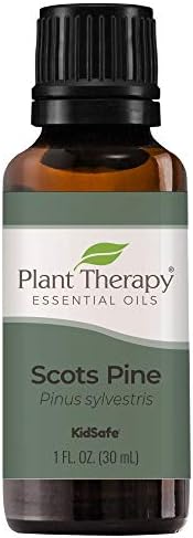 Amazon.com: Plant Therapy Scots Pine Essential Oil 30 mL (1 oz) 100% ...