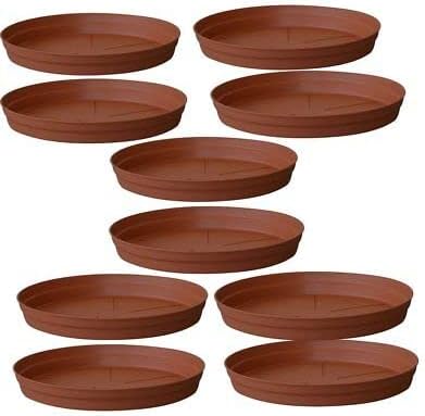 PlantaZee Plastic Gamla/Planter/Pot with Bottom Plate/Tray, 8 inch ...