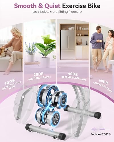 PLENY Folding Exercise Bike, Indoor Stationary Bike 16-Level Magnetic ...