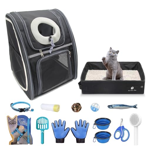 Travel Cat Backpack – The 15 best products compared - Wild Explained