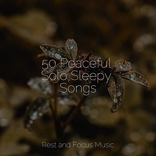 Amazon.com: 50 Peaceful Solo Sleepy Songs : White Noise for Babies ...