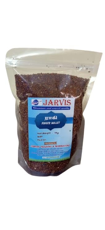 Jarvis Finger Millet Packet 1 Kg : Amazon.in: Grocery & Gourmet Foods