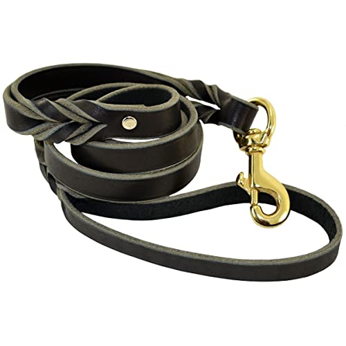 Ray Allen Mfg Signature K9 Double Handle Leather Leash (4', Black ...