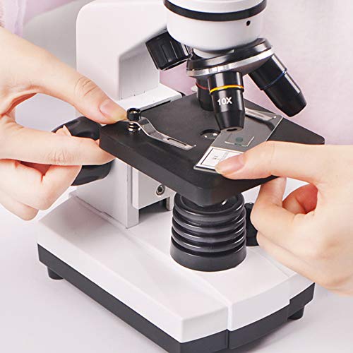 The 29 Best Lab Compound Monocular Microscopes of 2025 [Verified ...