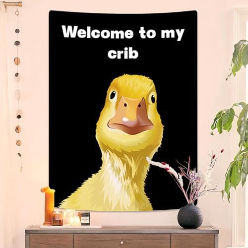 Amazon.com: Funny Tapestries Welcome To My Crib Flag Funny Tapestry ...