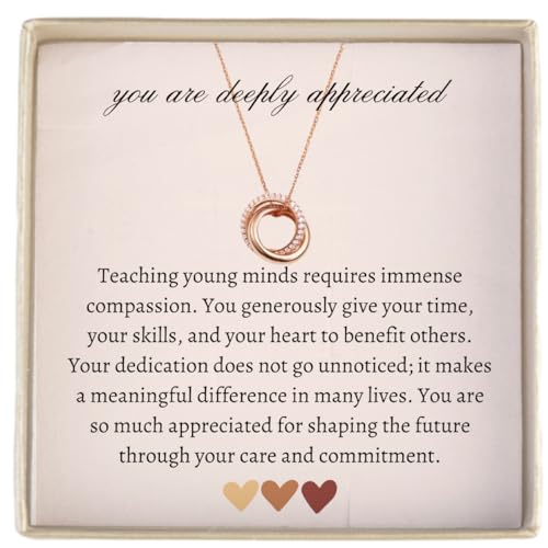 Amazon.com: IPINK-Teacher Gifts Appreciation Gifts for Amazing Teacher ...