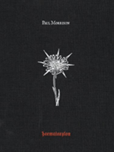 Paul Morrison: Haematoxylon: Amazon.co.uk: Heiser, Jorg, Thomas ...