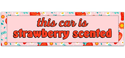Amazon.com: Strawberry Funny Bumper Sticker Weatherproof Sticker Fairy ...