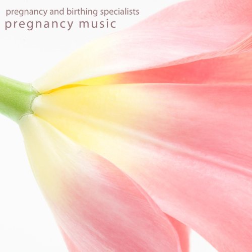 Amazon.com: Pregnancy Music : Pregnancy and Birthing Specialists ...