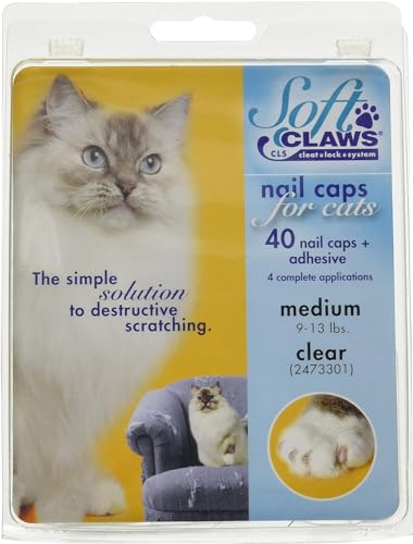 Cat Claw Covers – The 15 best products compared - Wild Explained