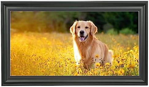 Amazon.com: Mxtallup 12x23 Picture Frames Solid wood, Display Pictures ...