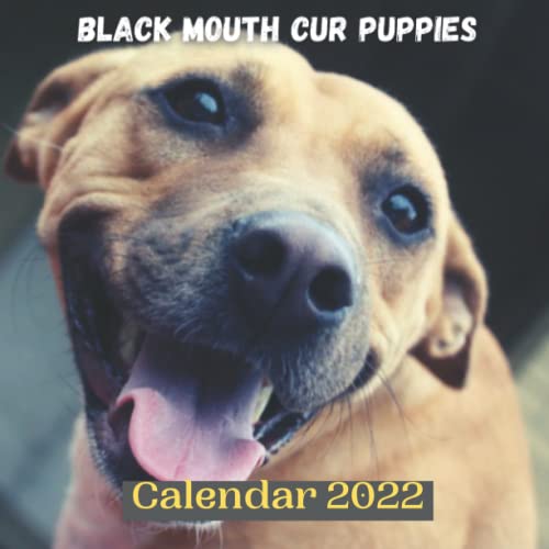 BIG MOUTH CALENDAR 2022 CALENDAR BIG MOUTH - Hiperchino