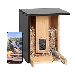 Amazon.com : NETVUE Birdfy® Upgraded Smart Bird Feeder Camera Solar Powered, Auto Capture Birds ...
