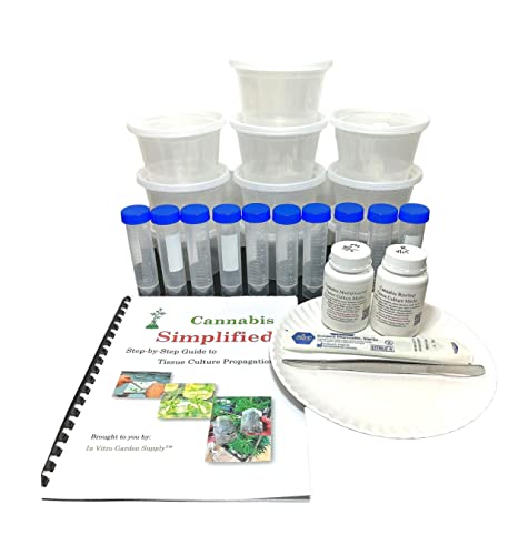 Top 10 Plant Tissue Culture Kit of 2022 - Katynel