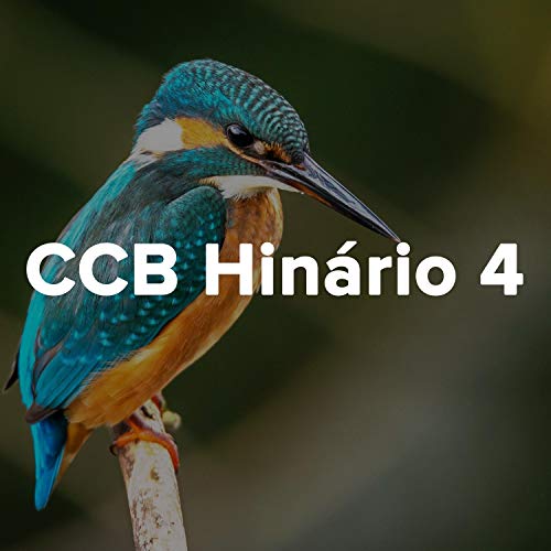 Amazon.com: Hinário 4 CCB, Vol. 1 : CCB Hinos: Digital Music