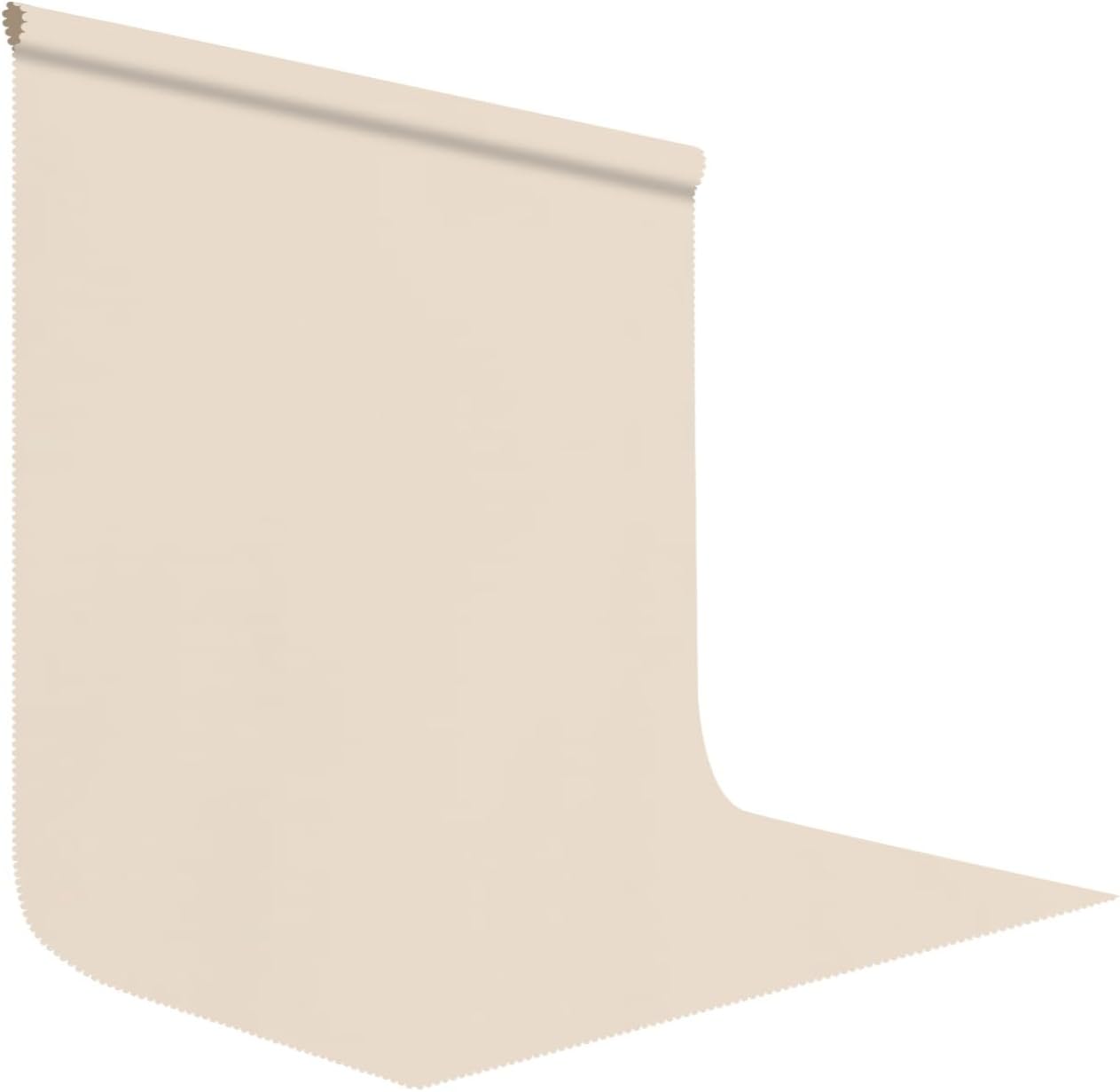 Amazon.com : LYLYCTY Beige Portrait Backdrop 8x10ft Zoom Meeting Photo ...