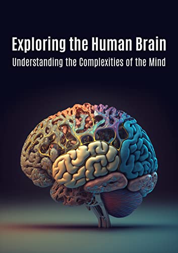 Exploring the Human Brain - Understanding the Complexities of the Mind ...