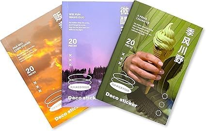 Aesthetic Journal & Scrapbooking Sticker Set – Includes Washi, PET ...