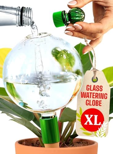 Amazon.com: 16 Oz Plant Watering Globes for Indoor Plants with ...