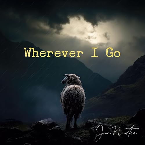 Play Wherever I Go by Joe Nester on Amazon Music
