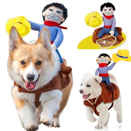 Yee-Haw! 10 Best Cowboy Pet Costumes for Your Furry Friend - Furry Folly