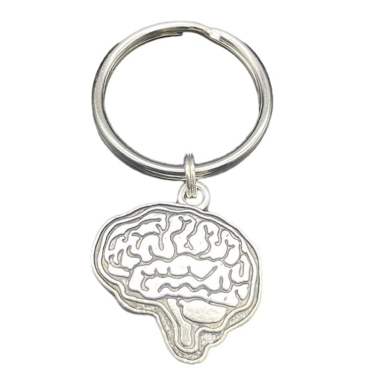 Amazon.com: Brain Keychain, Medical, Neurologist, Anatomy : Office Products