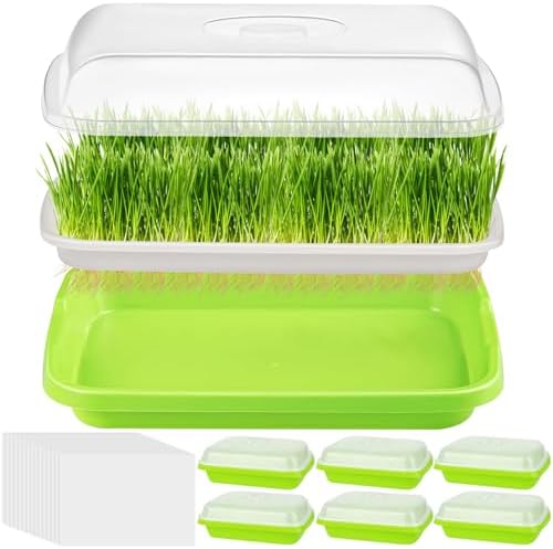 NDSWKR 6 Pack Seed Sprouter Trays with Lids, 13.4 x 9.8 x 4.3 Inch ...