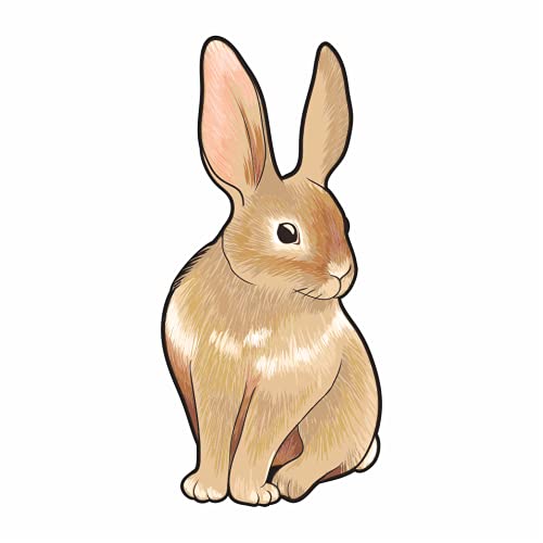 Amazon.com: Bunny Rabbit Vinyl Decal Sticker Compatible with iPad ...