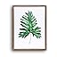 Amazon.com: Botanical Green Succulent Plant Canvas Framed Wall Art ...
