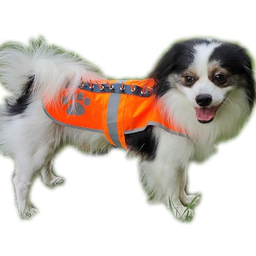 Spike Vest for Dogs – The 15 best products compared - Wild Explained